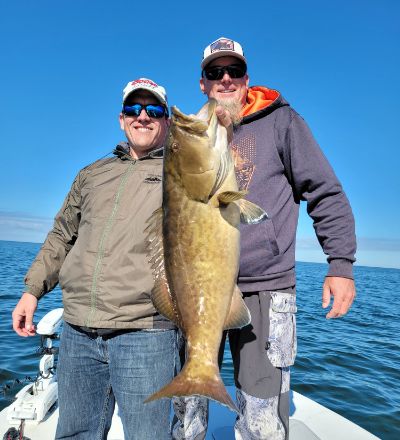 Our Team | Hillmann Consulting